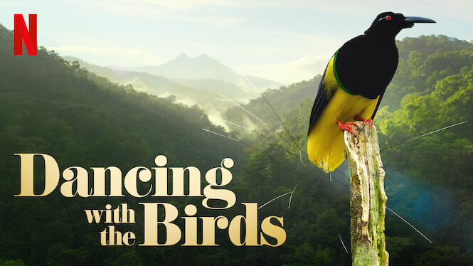 Dancing with the Birds (2019) - Netflix | Flixable